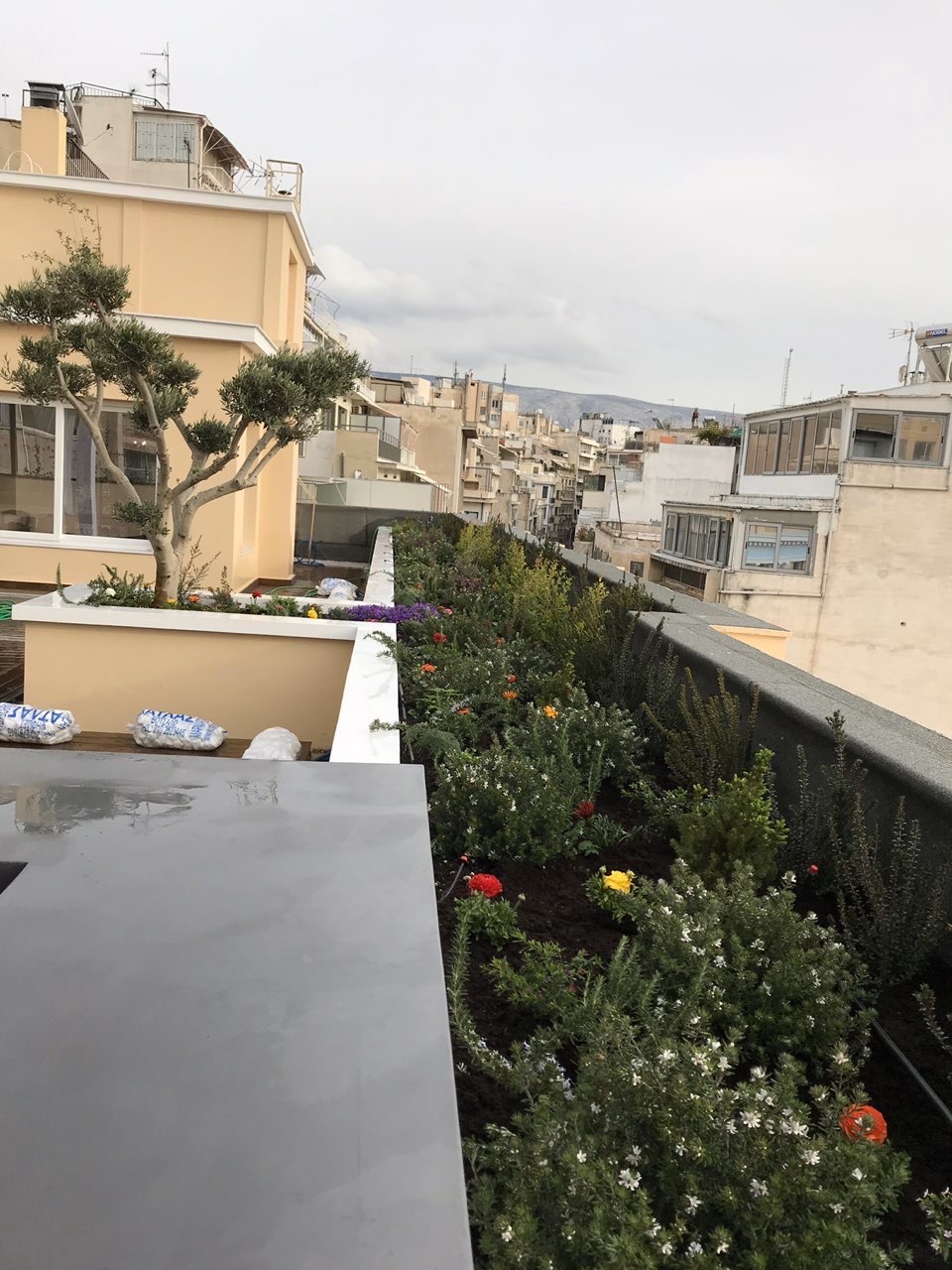 Κατασκευή ταρατσόκηπου σε ξενοδοχείο στο κέντρο της Αθήνας ...